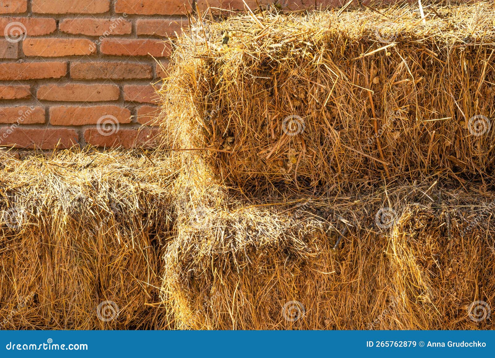 Haystack or Straw. Mowed Dry Grass (hay) in a Stack Against a Brick ...
