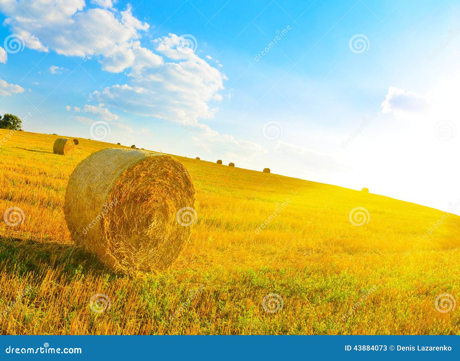 Haystack stock image. Image of agriculture, nature, background - 43884073