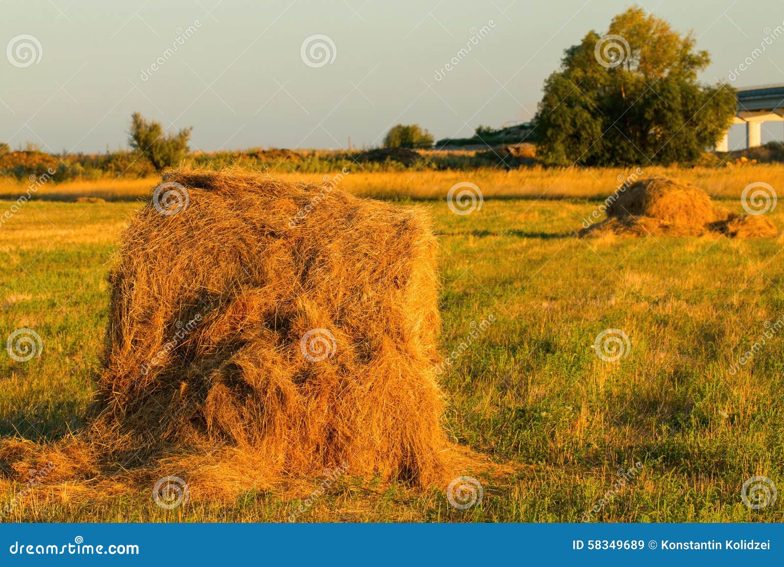 Haystack. stock image. Image of field, natural, farming - 58349689