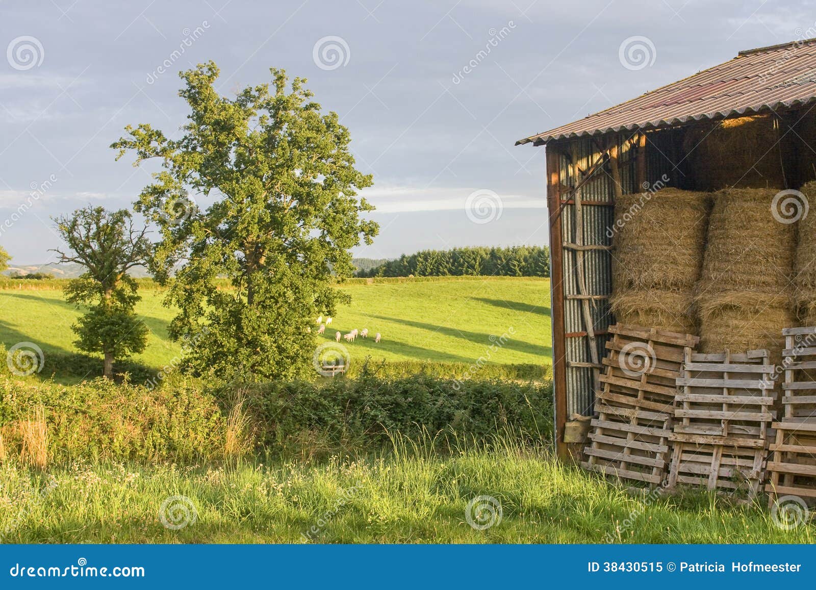 Haystack in sunset stock image. Image of landscape, field - 38430515