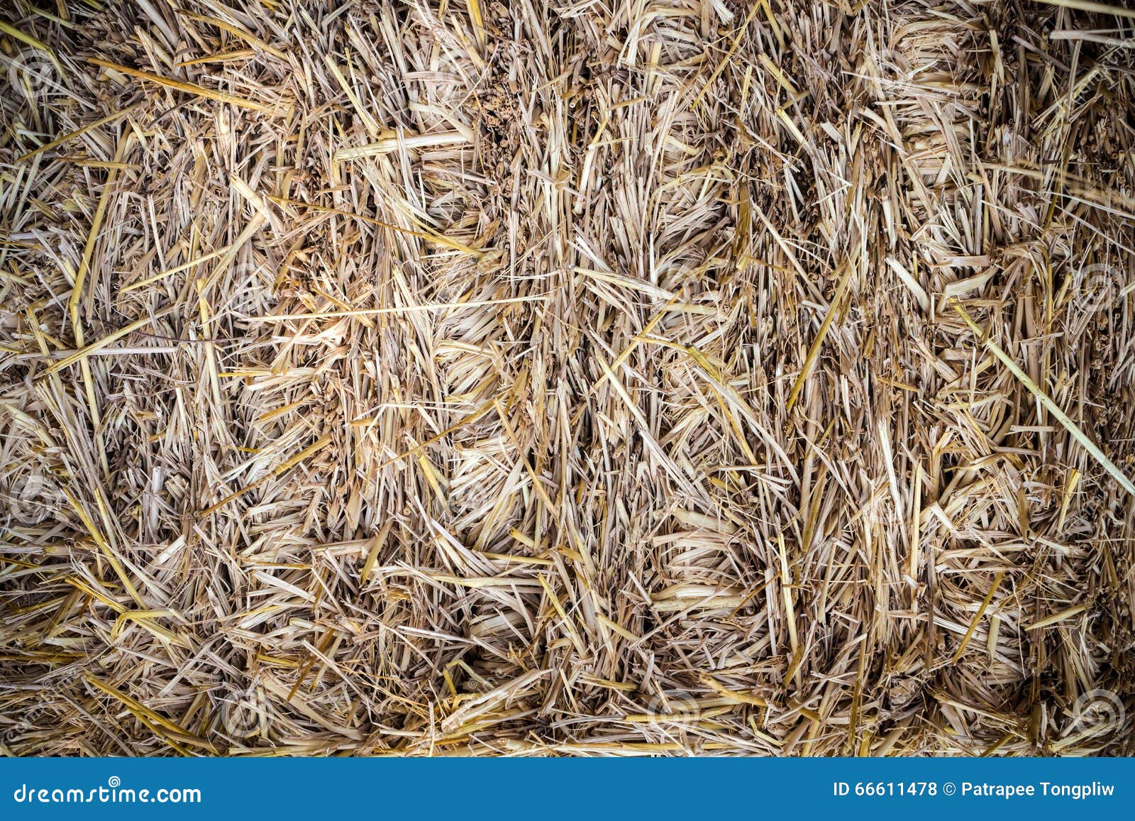 Haystack Texture Background Stock Image | CartoonDealer.com #43608625