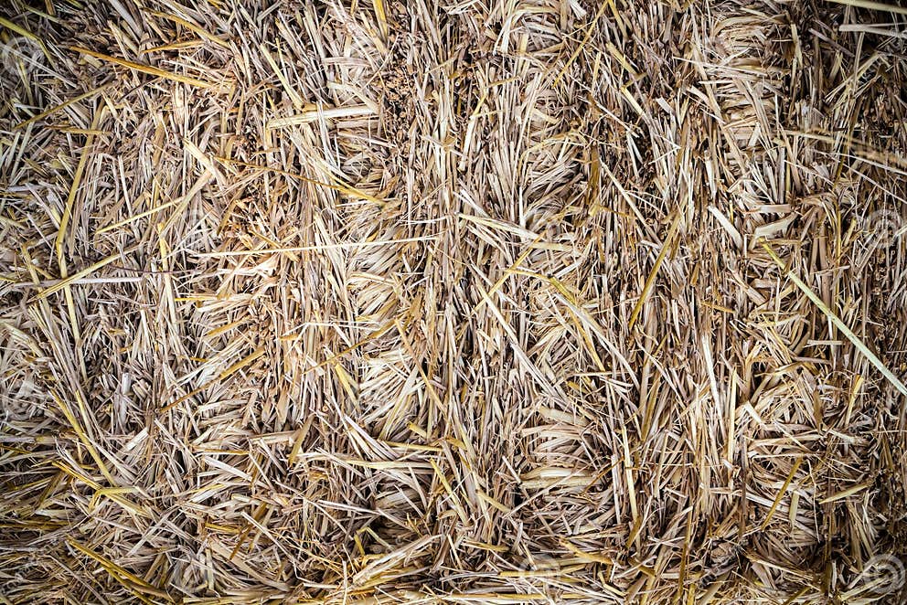 Haystack Texture Background Stock Photo - Image of summer, background ...