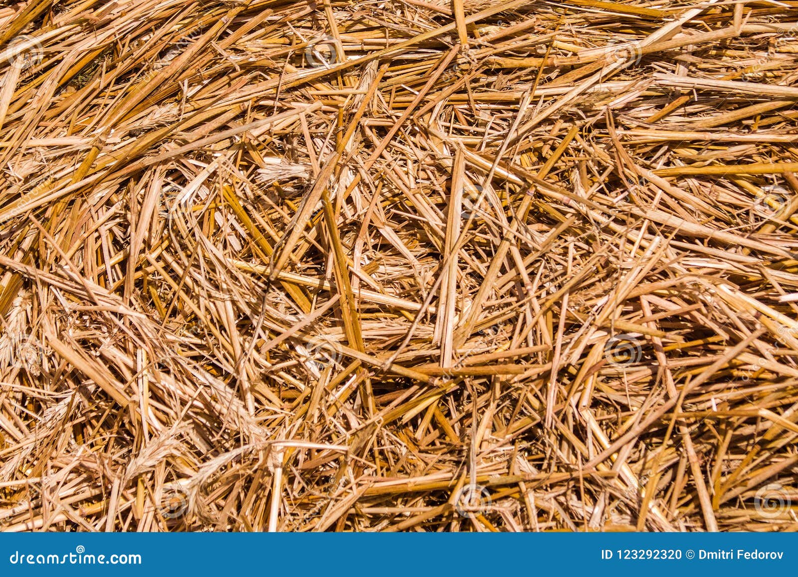 Haystack Texture. Hay Twisted into a Roll on the Field Stock Photo ...