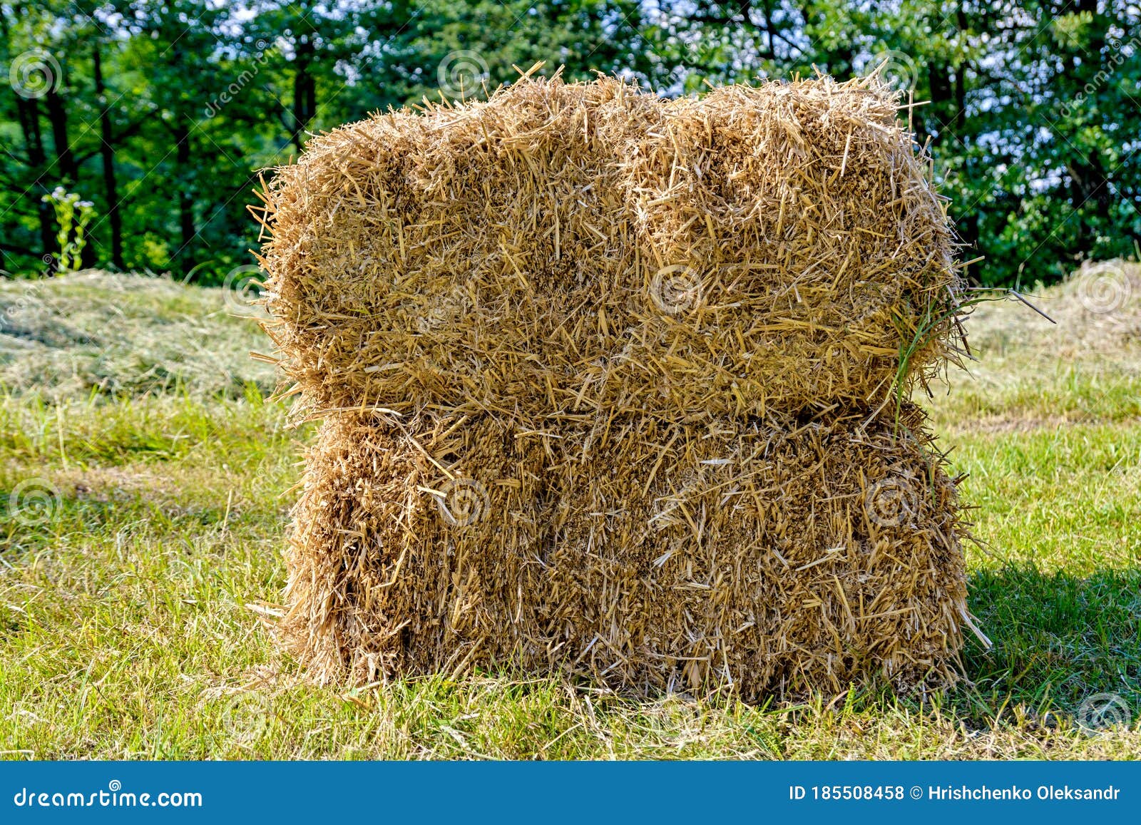 Haystack To Feed Cattle Rectangular Stock Photo - Image of cattle ...