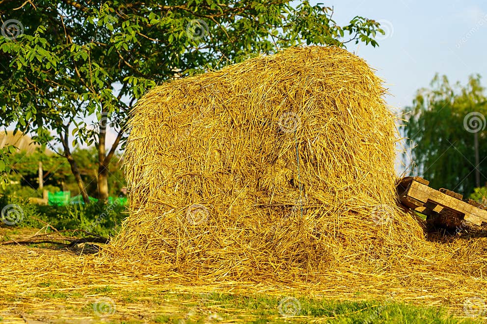 Haystack in the Village. Background with Selective Focus and Copy Space Stock Photo - Image of ...