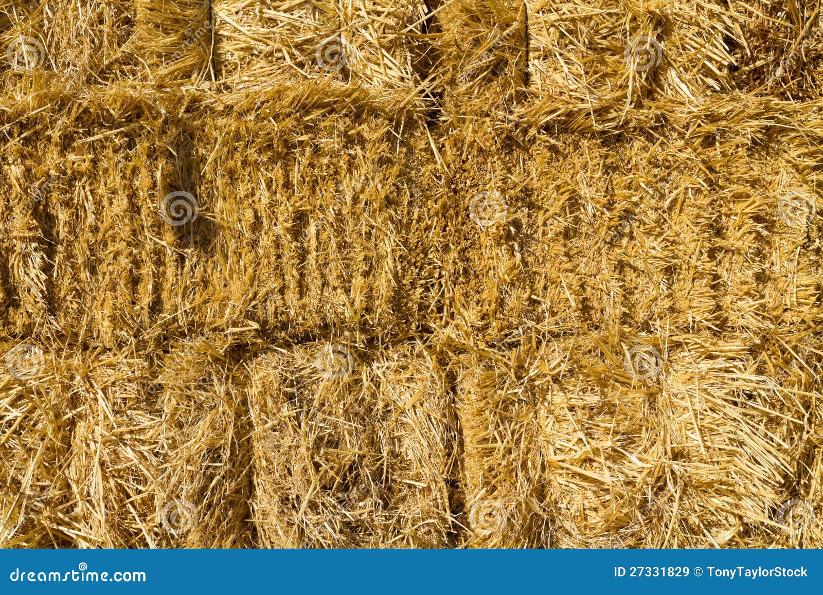Haystack Wall of Dried Straw Stock Image - Image of grass, haystack ...