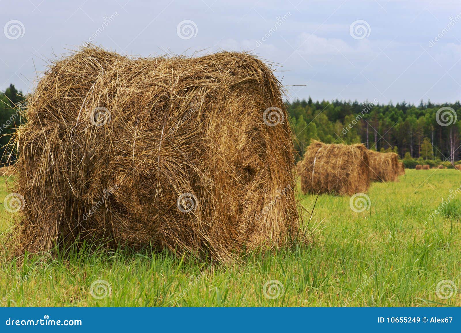 Haystacks stock image. Image of ranch, food, color, circle - 10655249