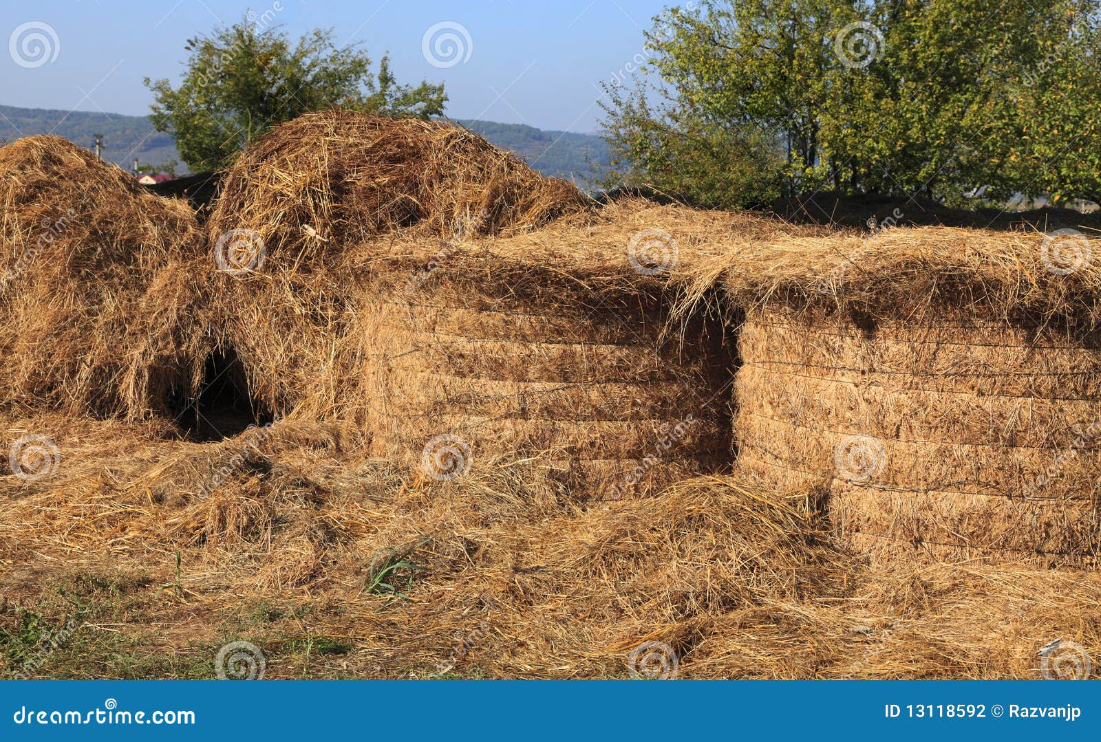 Haystacks stock photo. Image of countryside, autumn, golden - 13118592