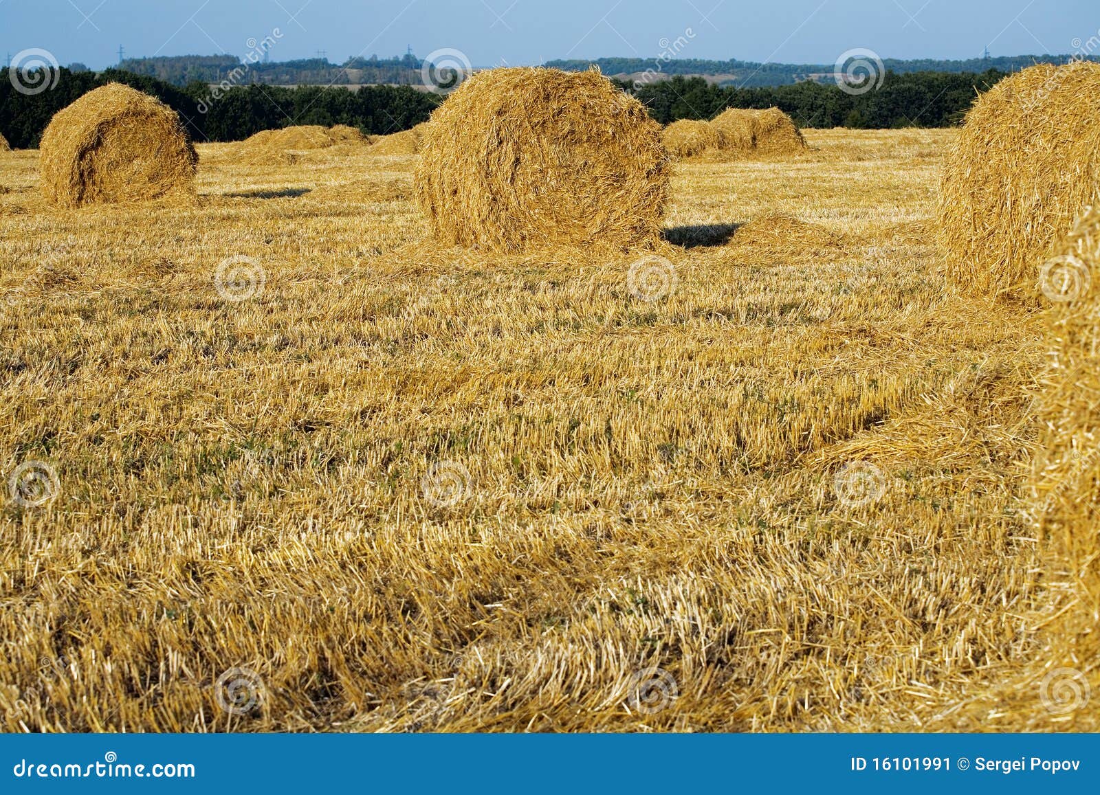 Haystacks stock image. Image of land, plant, organic - 16101991