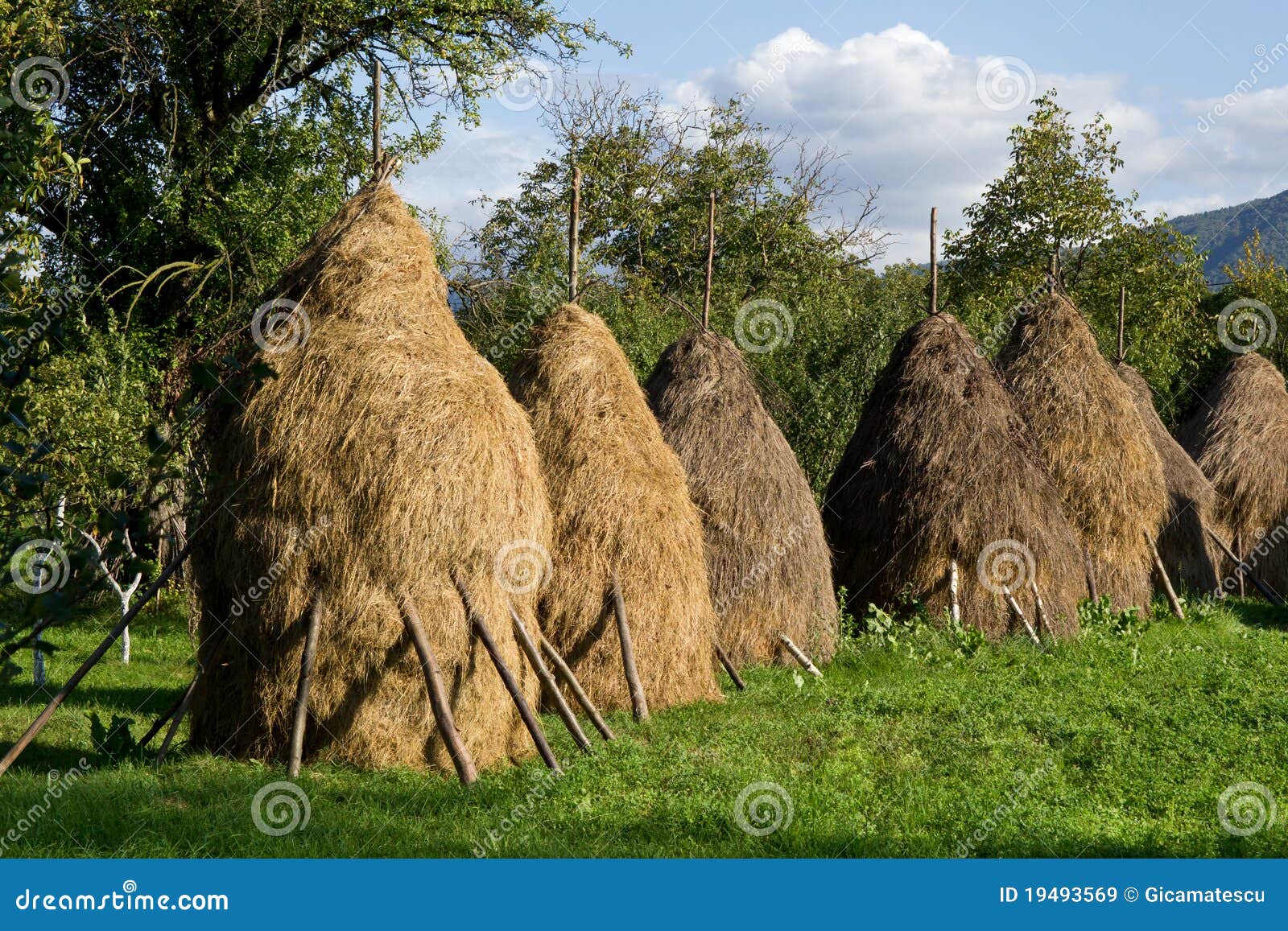 Haystacks stock image. Image of clouds, plant, green - 19493569