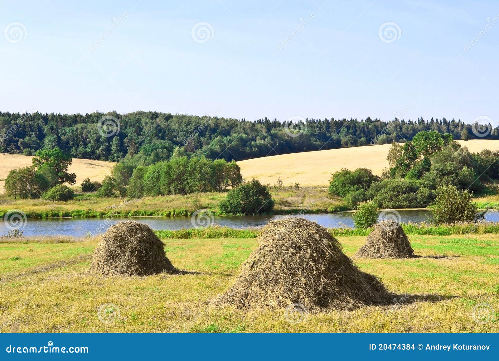 Haystacks stock photo. Image of blue, bush, farm, hill - 20474384