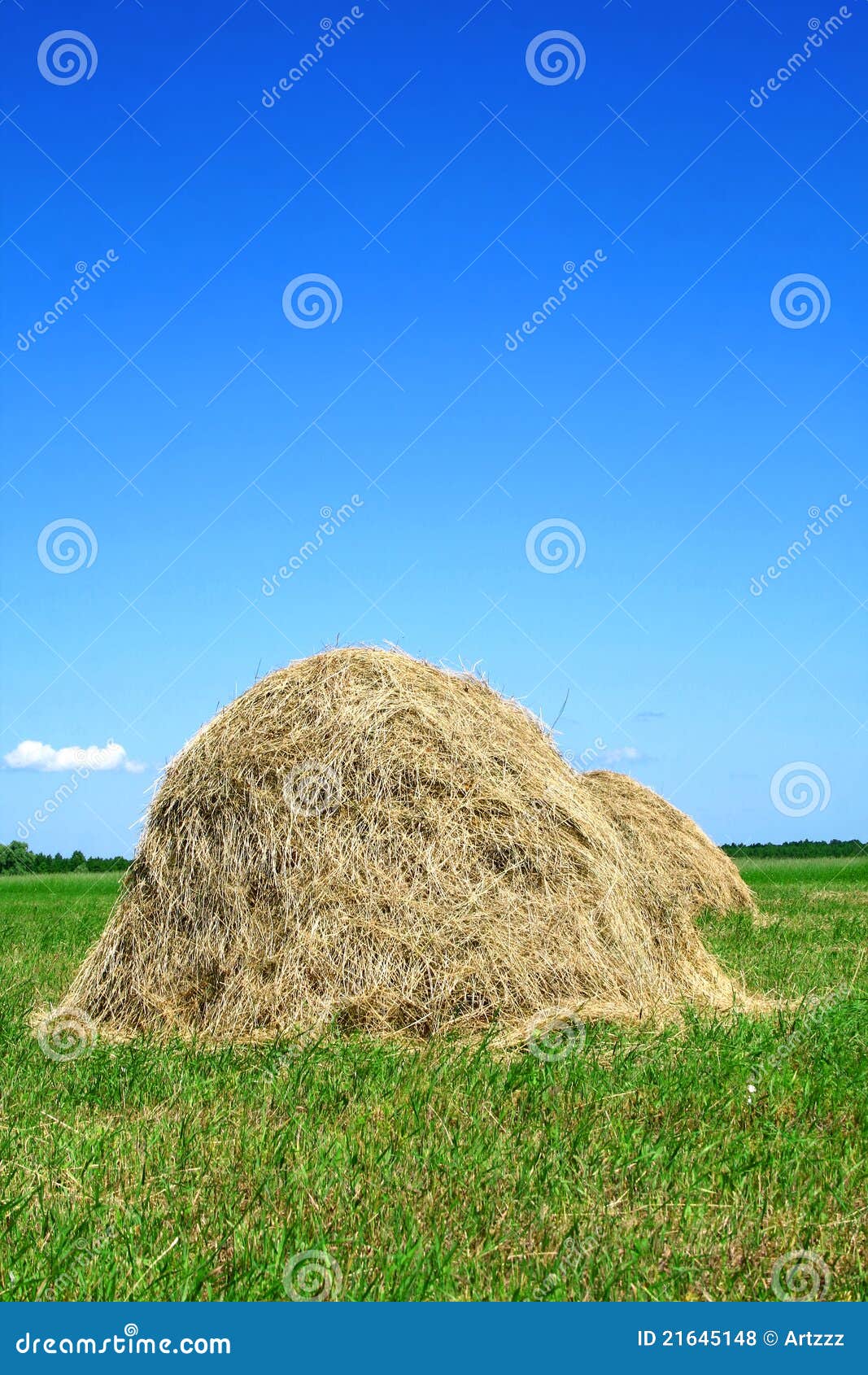 Haystacks stock photo. Image of hayrick, field, harvest - 21645148