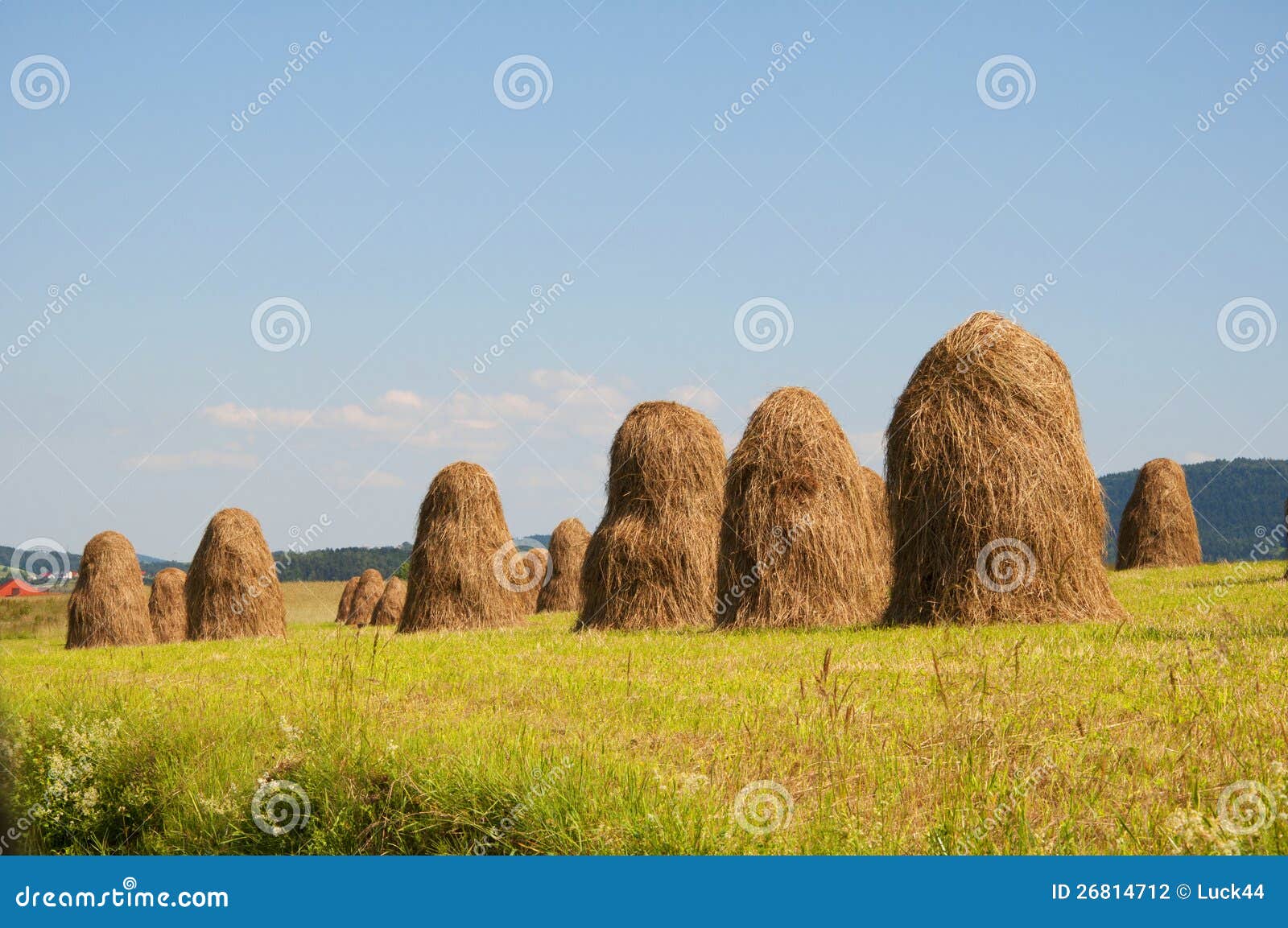 Haystacks stock photo. Image of summer, rick, autumn - 26814712