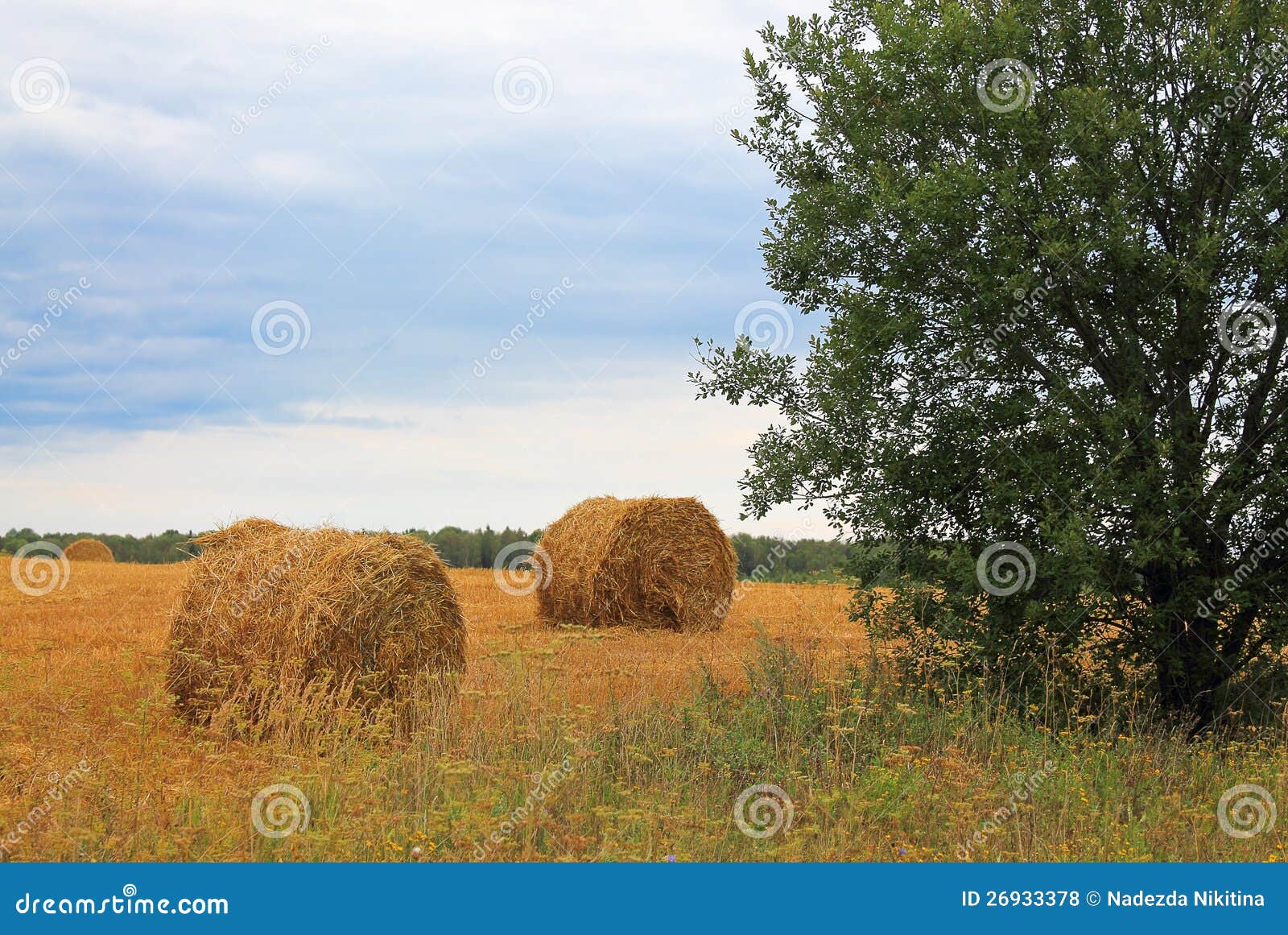 Haystacks stock photo. Image of harvest, outdoor, pack - 26933378
