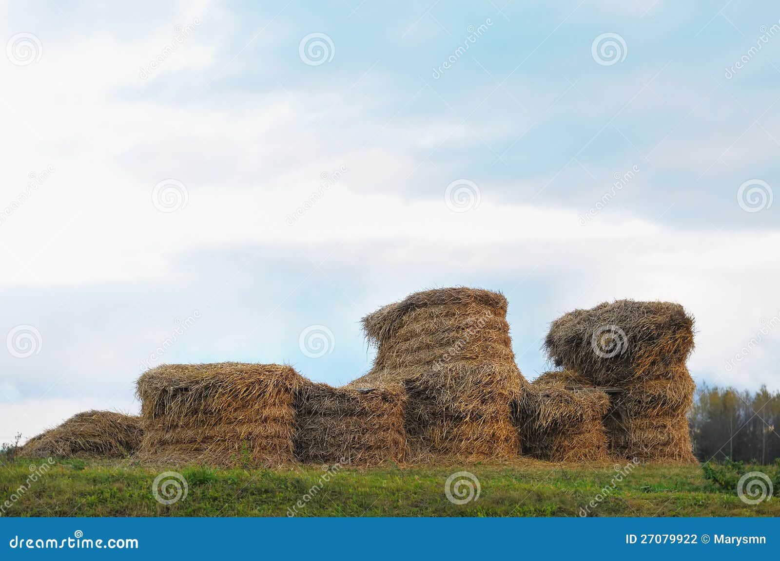 Haystacks stock photo. Image of crop, bright, grass, barley - 27079922