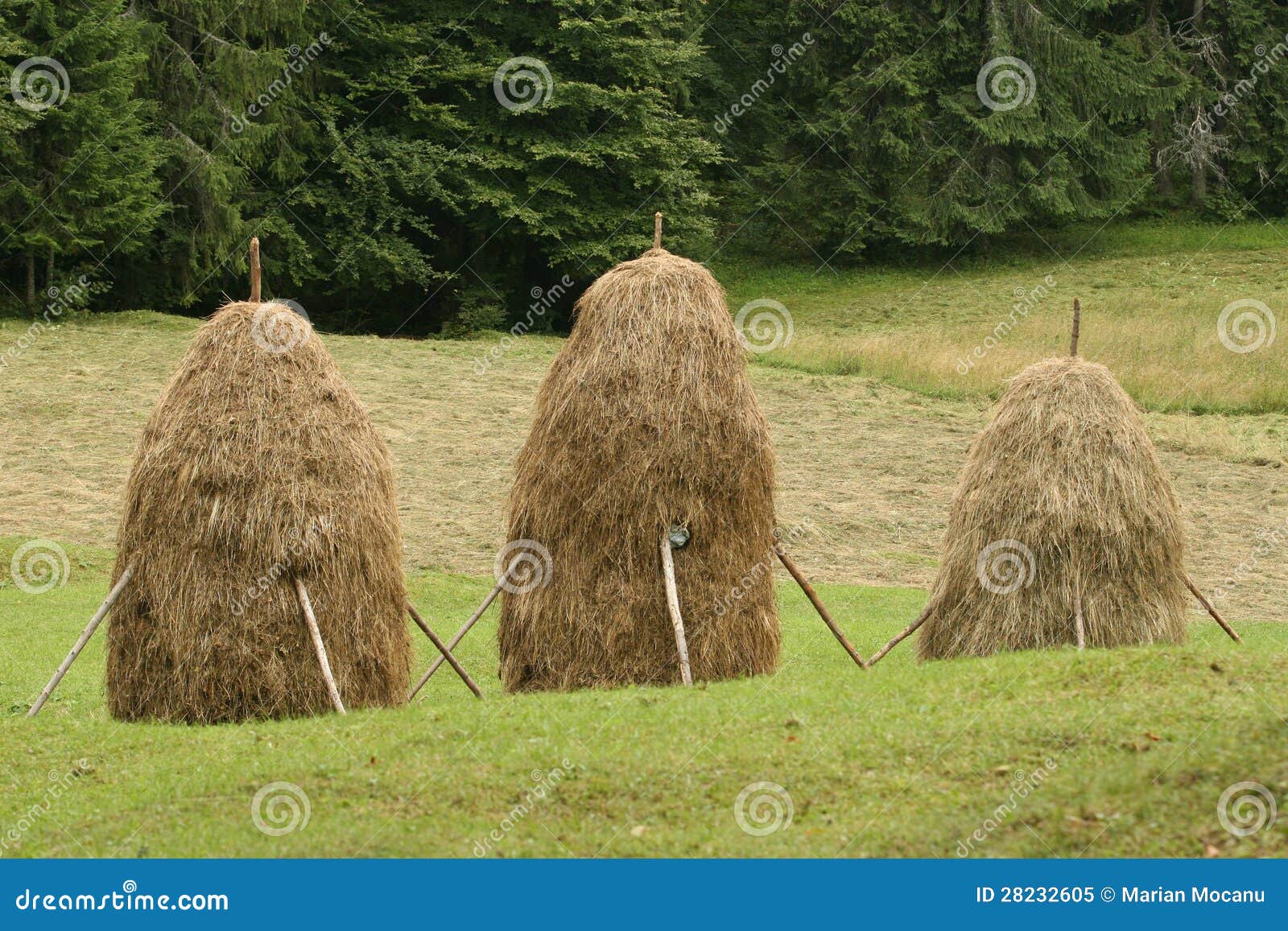 Haystacks stock image. Image of fence, herb, highlands - 28232605