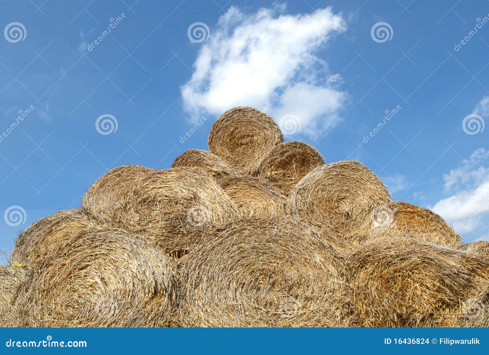 Haystacks Bales in Countryside Stock Photo - Image of yellow, meadow ...