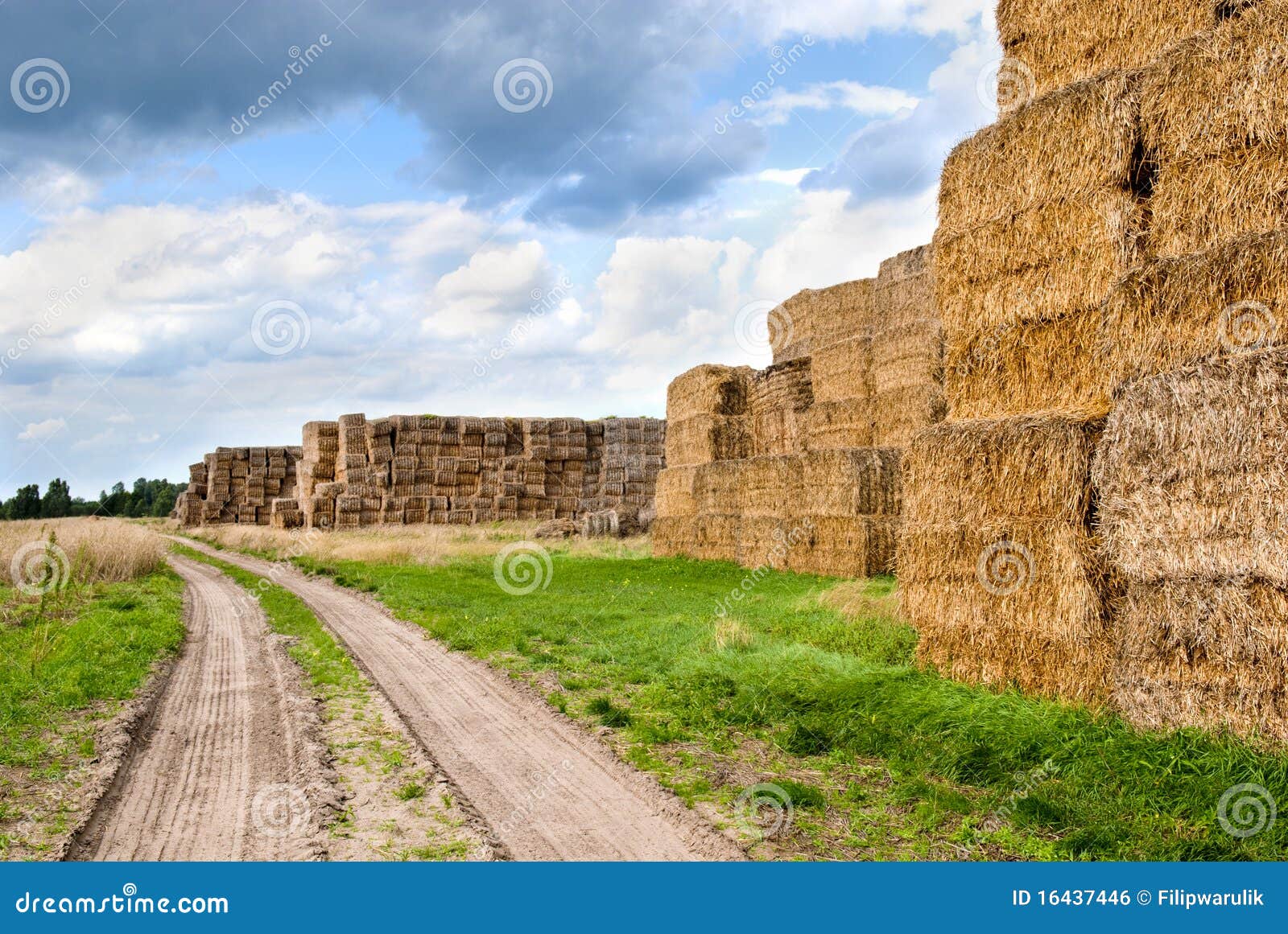 Haystacks Bales in Countryside Stock Photo - Image of blue, background ...