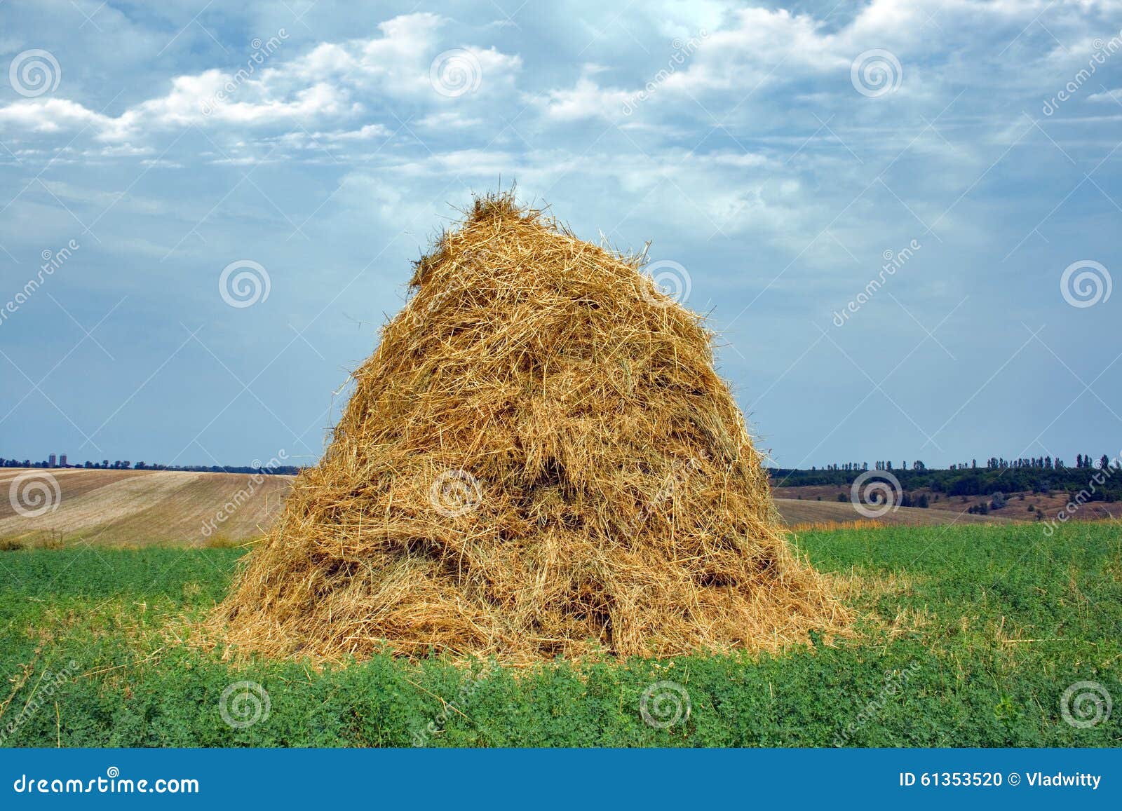 Haystacks stock photo. Image of discovery, plant, field - 61353520
