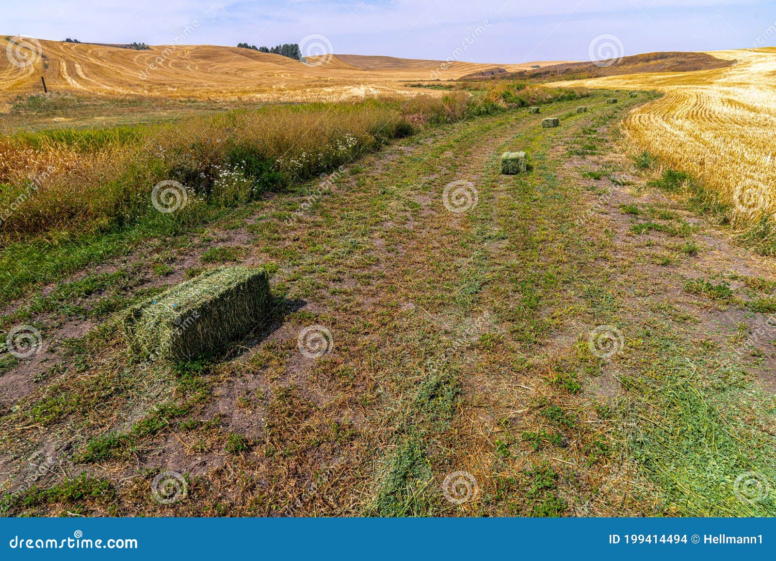 Haystacks in Fall stock photo. Image of hayrick, gold - 199414494