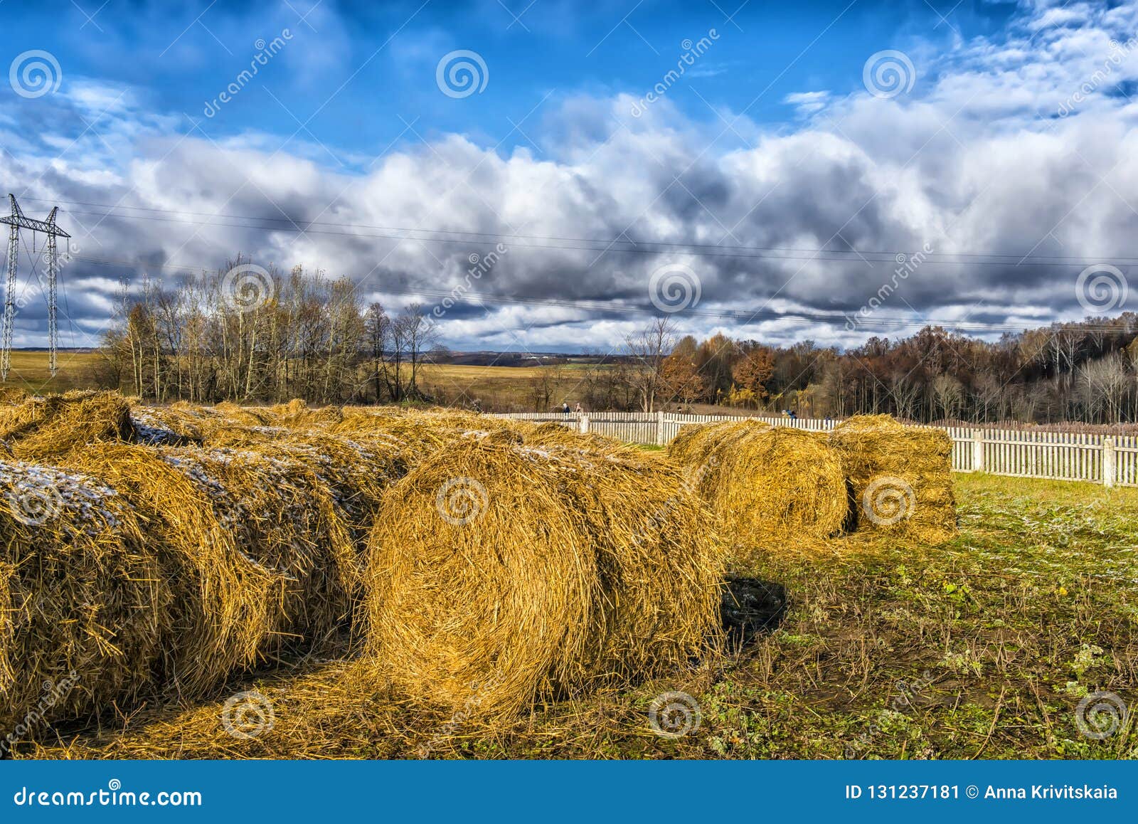 Haystacks and the First Snow Stock Image - Image of cottages, gold ...