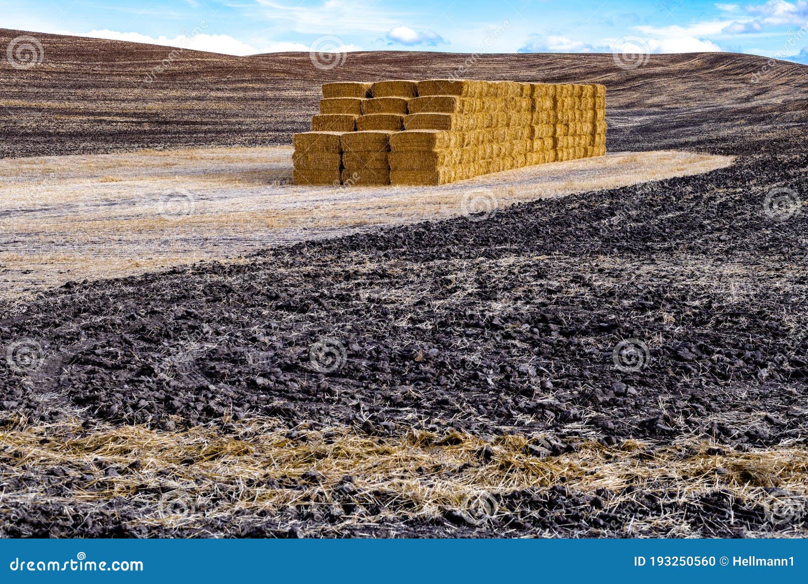 Haystacks in Fall in the Palouse Stock Photo - Image of crop, nature ...