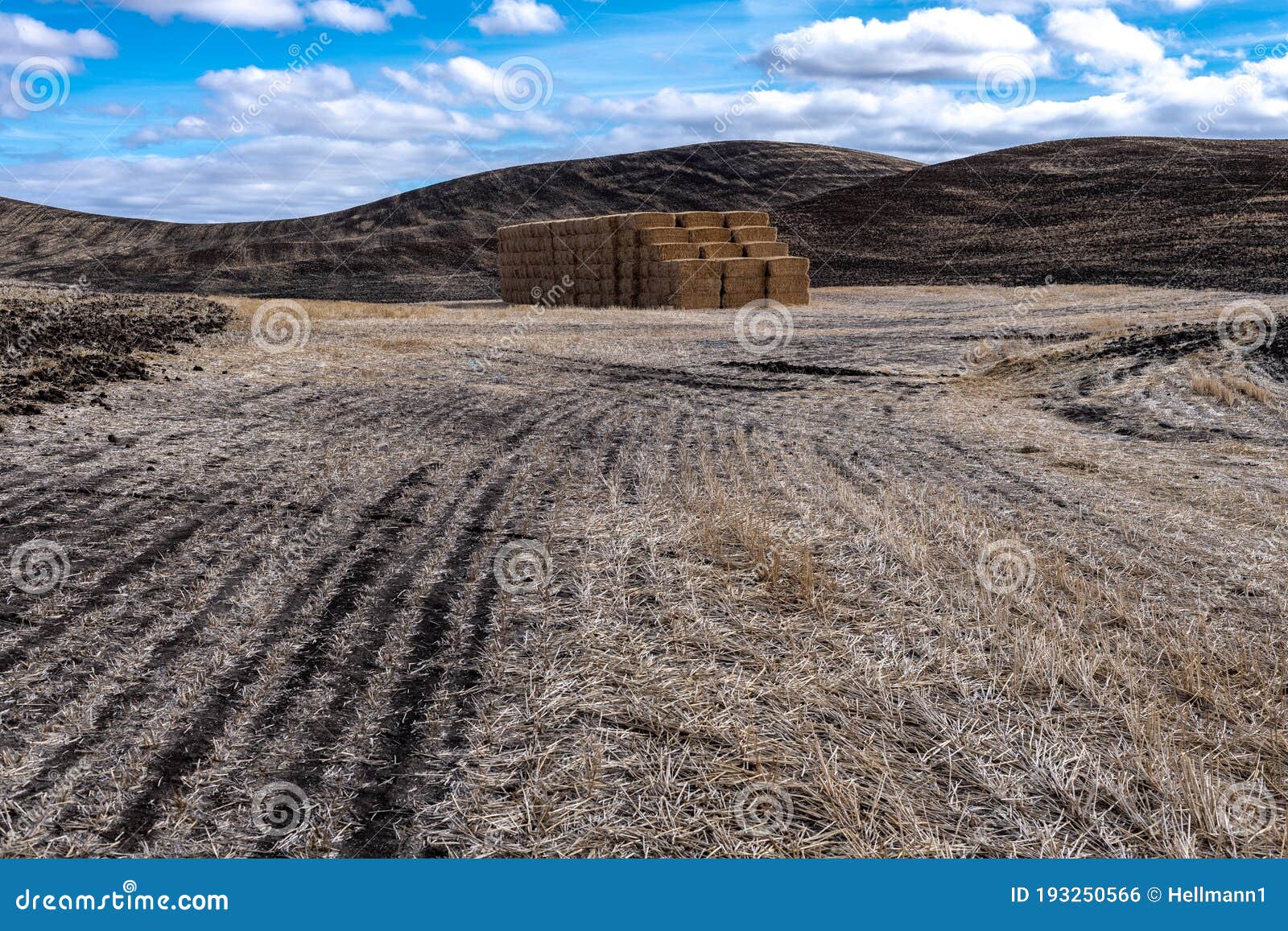 Haystacks in Fall in the Palouse Stock Photo - Image of farmland ...