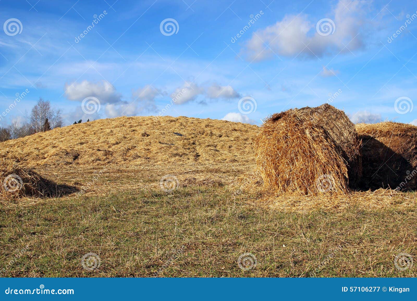 Haystacks on the farm stock image. Image of grains, nutrition - 57106277