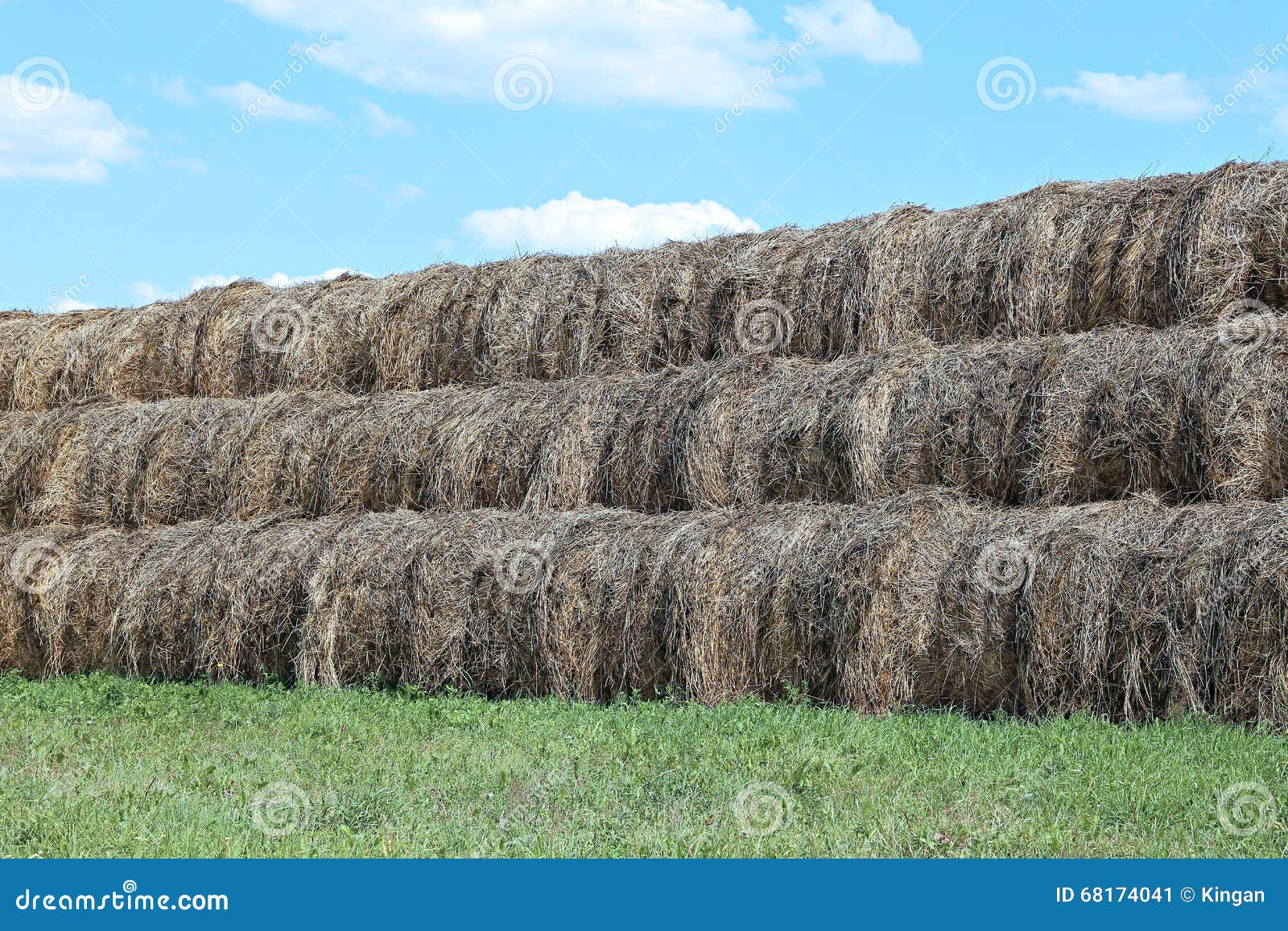 Haystacks on the Farm in Field Stock Image - Image of farm, haystacks ...