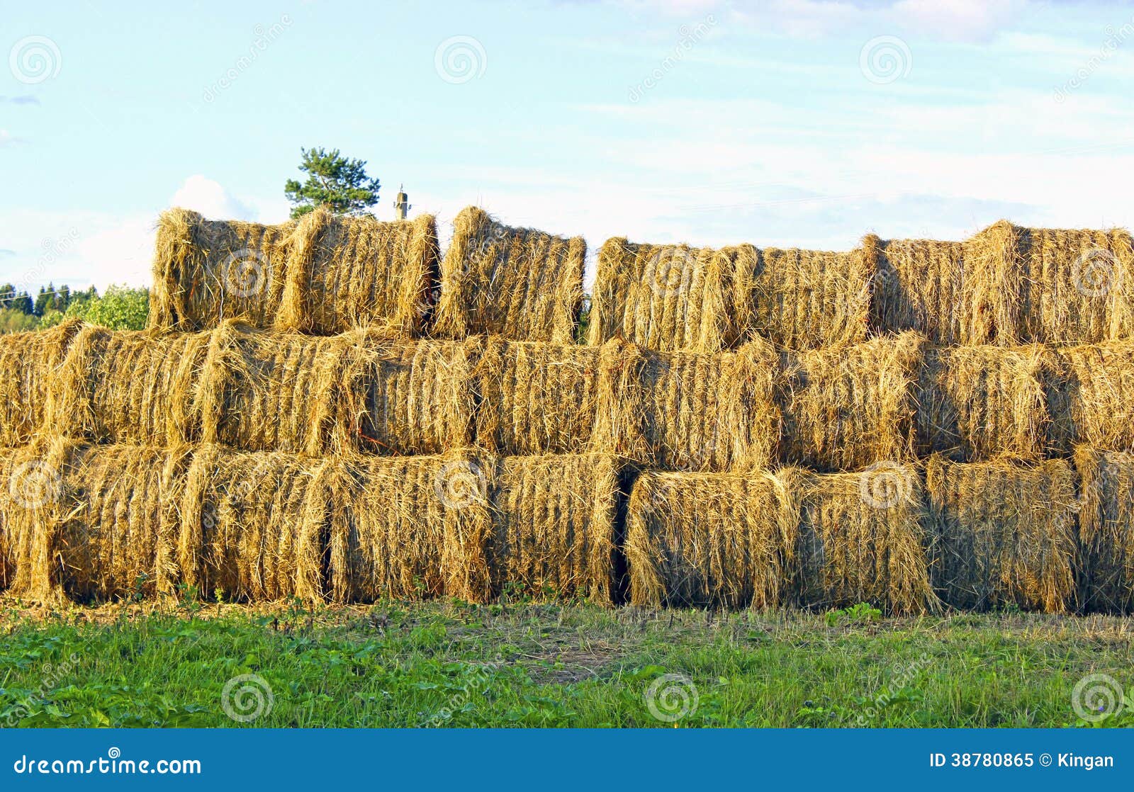 Haystacks on the farm stock image. Image of countryside - 38780865
