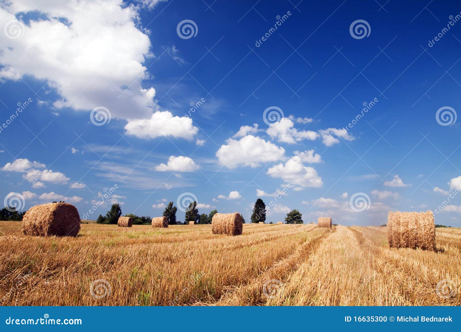 Haystacks in the field stock photo. Image of country - 16635300