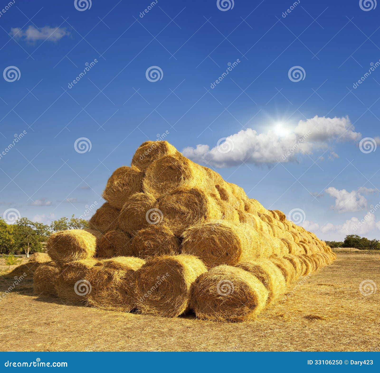 Haystacks on the field. stock photo. Image of landscaped - 33106250