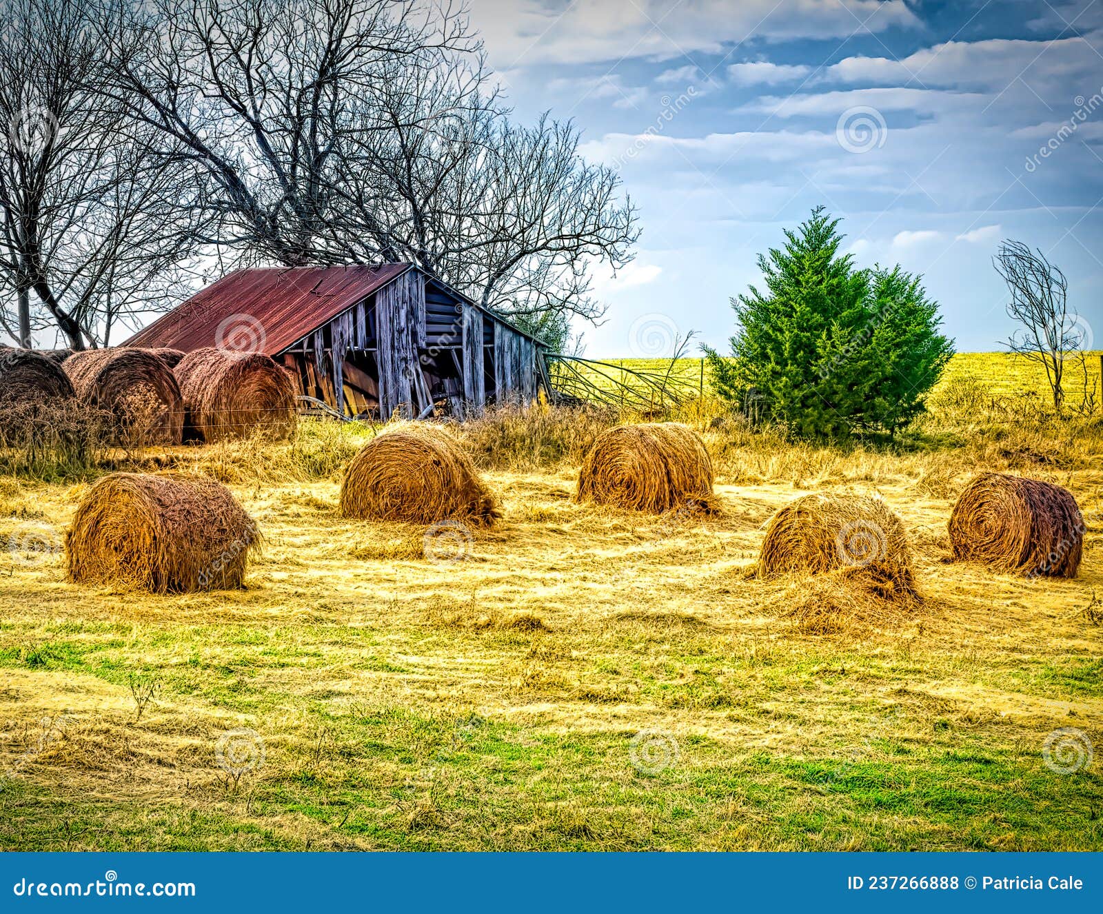 Haystacks in Field stock photo. Image of landscape, blue - 237266888