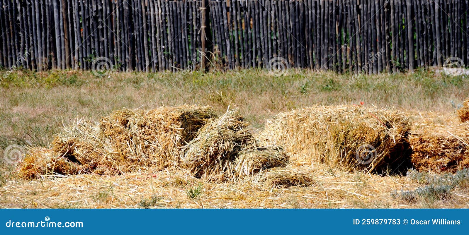 Haystacks in a Field Outdoors. Stock Image - Image of haystacks, farm ...