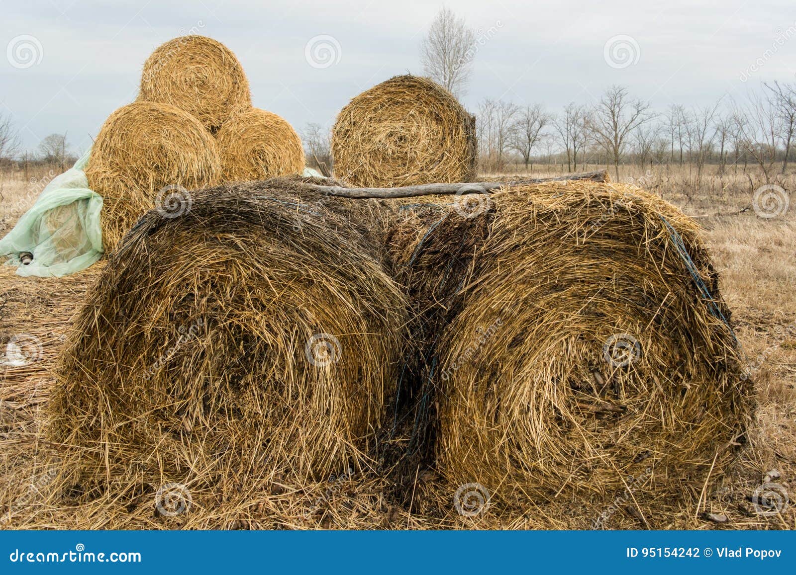 Haystacks on a field stock photo. Image of housework - 95154242