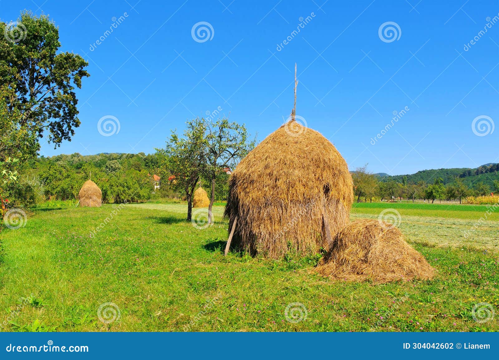 Haystacks in a Field in Romania Stock Photo - Image of meadow, fall ...