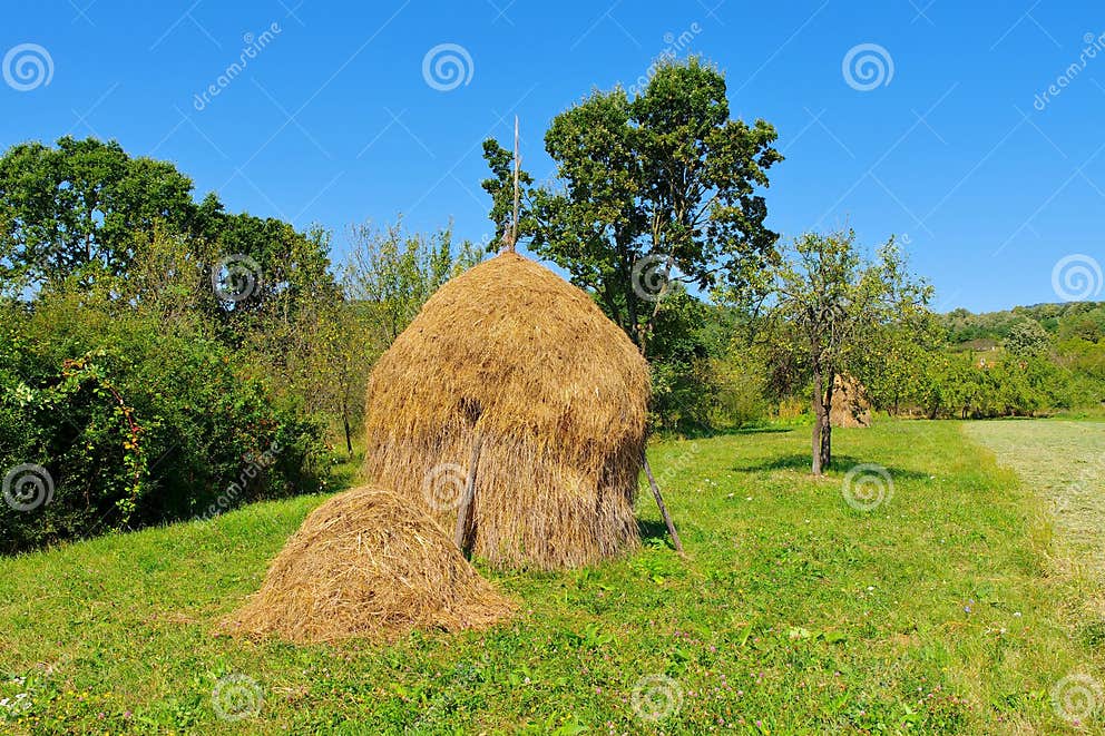 Haystacks in a Field in Romania Stock Photo - Image of agriculture ...