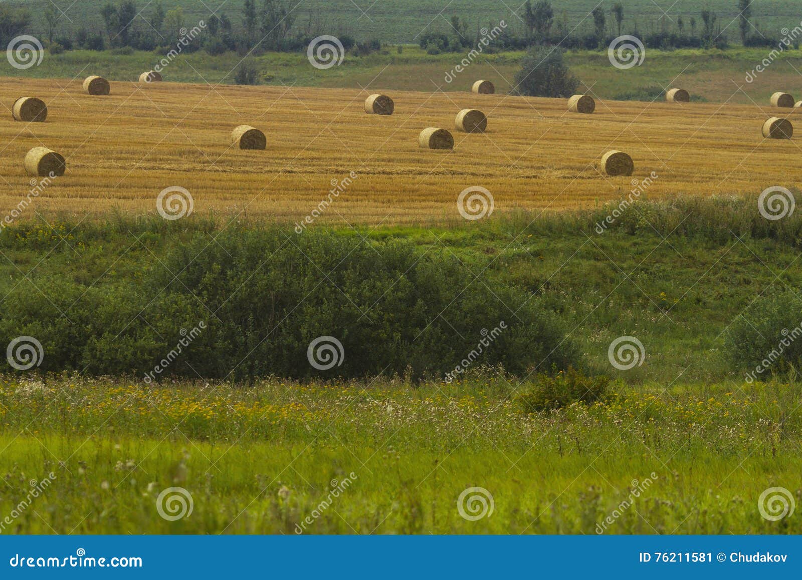 Haystacks on a field stock image. Image of plant, farm - 76211581