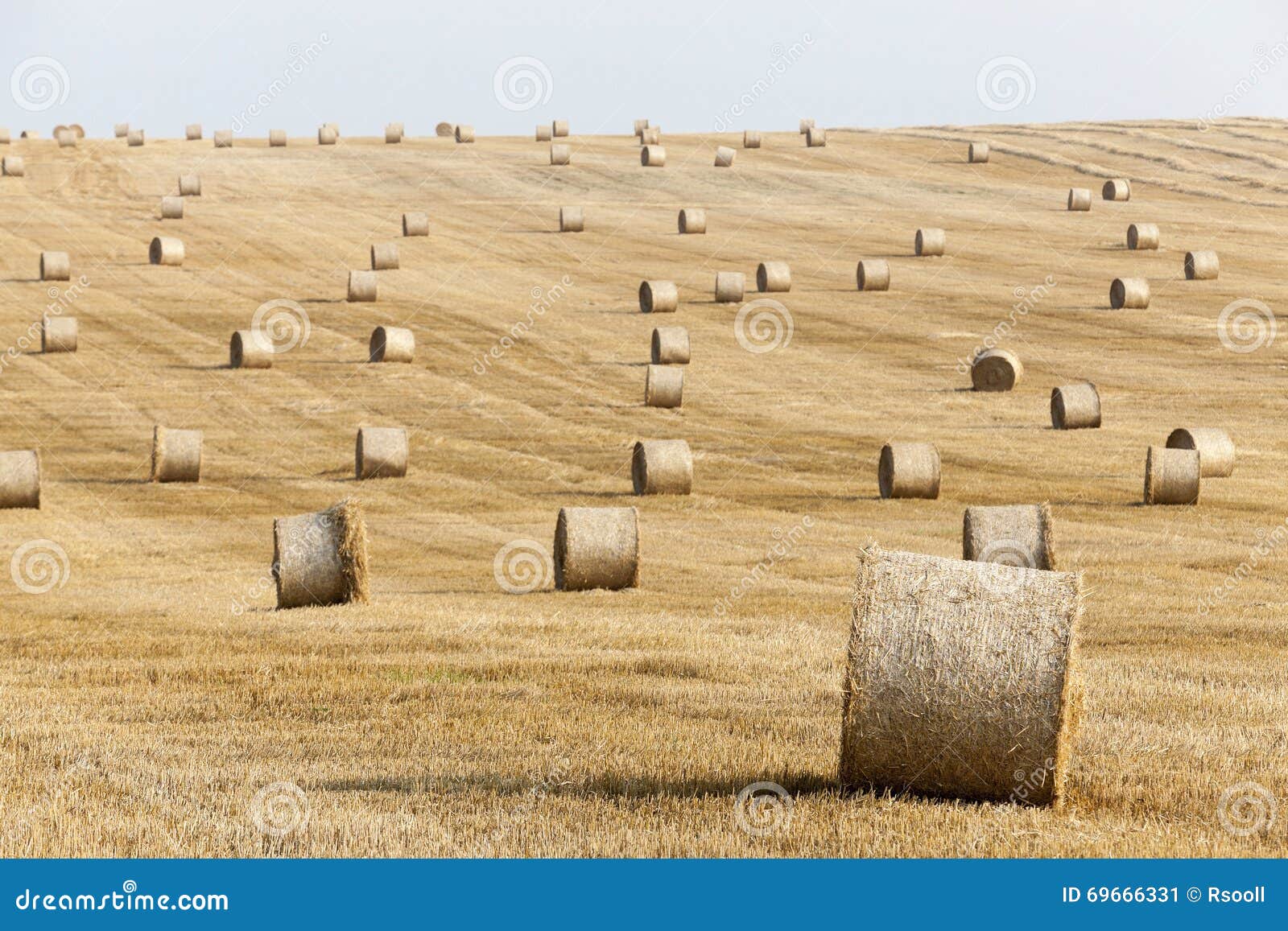 Haystacks in a Field of Straw Stock Image - Image of large, brown: 69666331