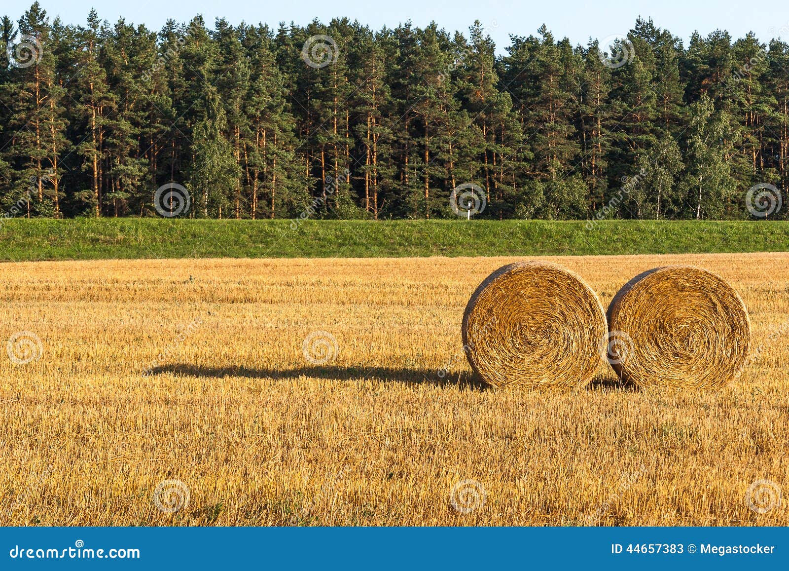 Haystacks in the field stock image. Image of agricultural - 44657383