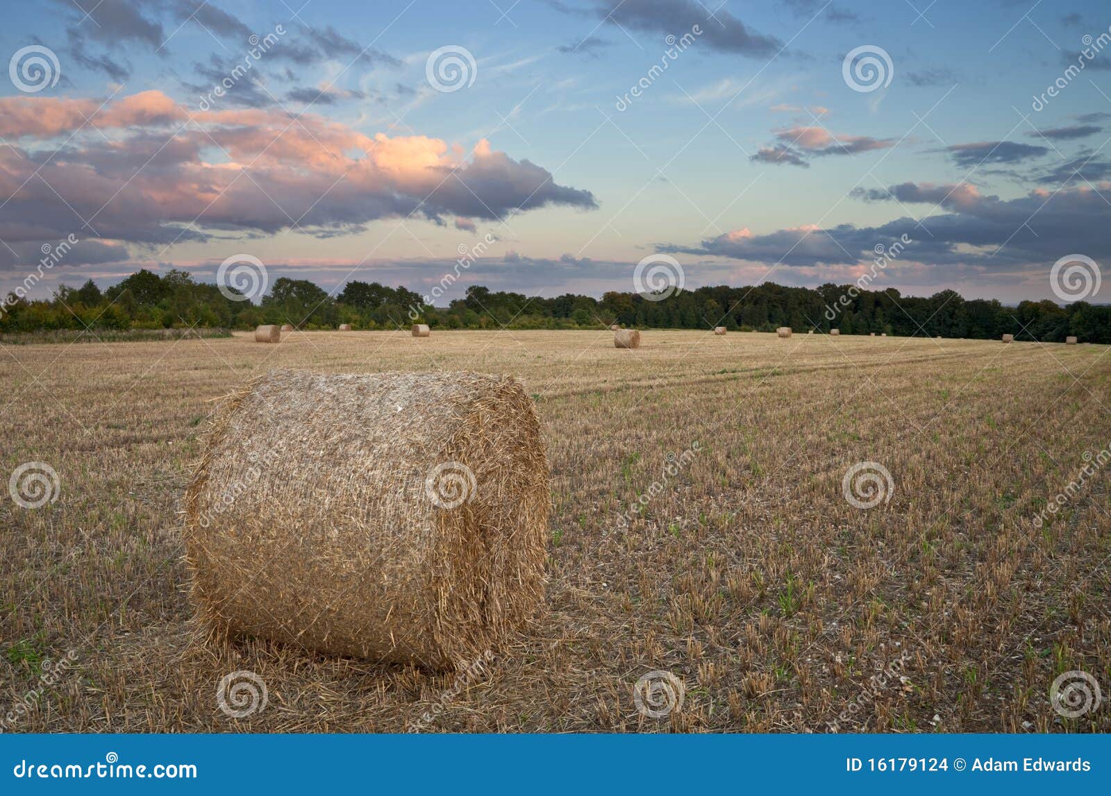 Haystacks in a Field at Sunset Stock Photo - Image of cereal, crop ...