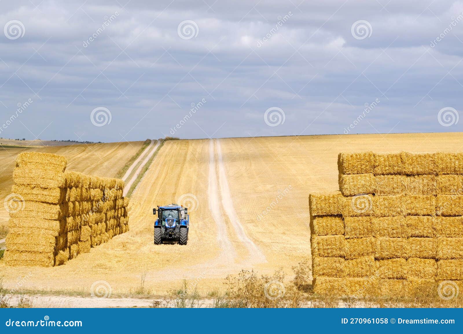 Haystacks in field stock photo. Image of blue, outdoor - 270961058