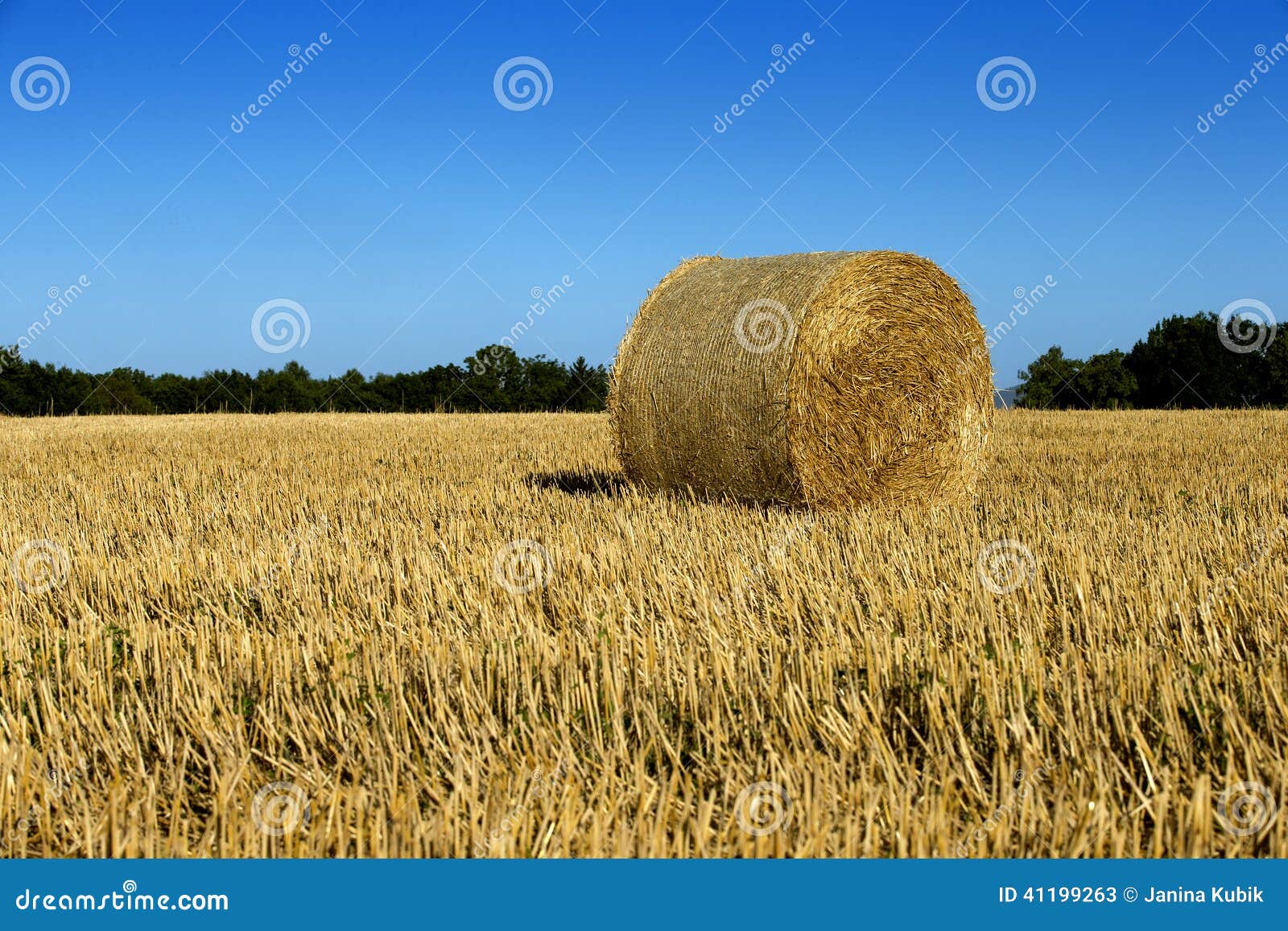 Haystacks in the fields stock image. Image of barley - 41199263