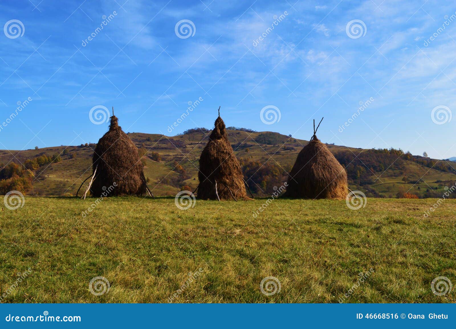 Haystacks stock photo. Image of fall, haystacks, food - 46668516