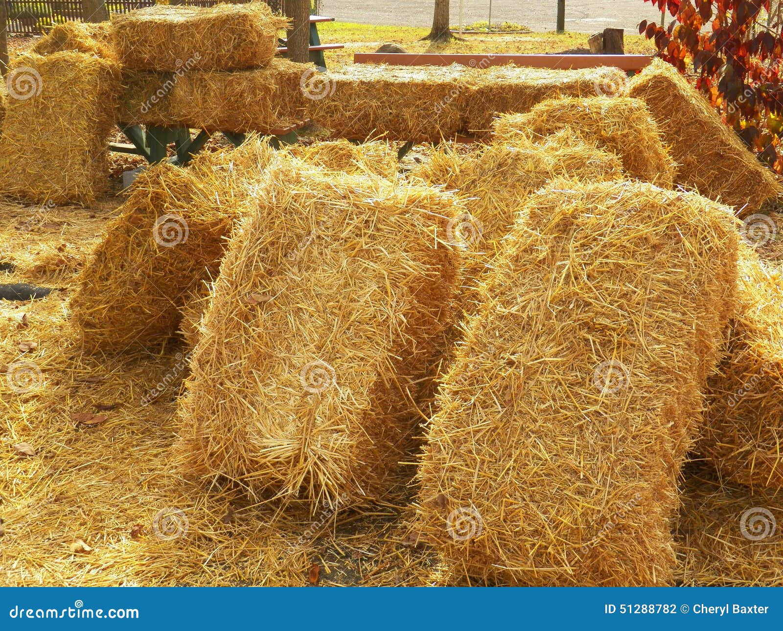 Haystacks stock photo. Image of fall, season, autumn - 51288782