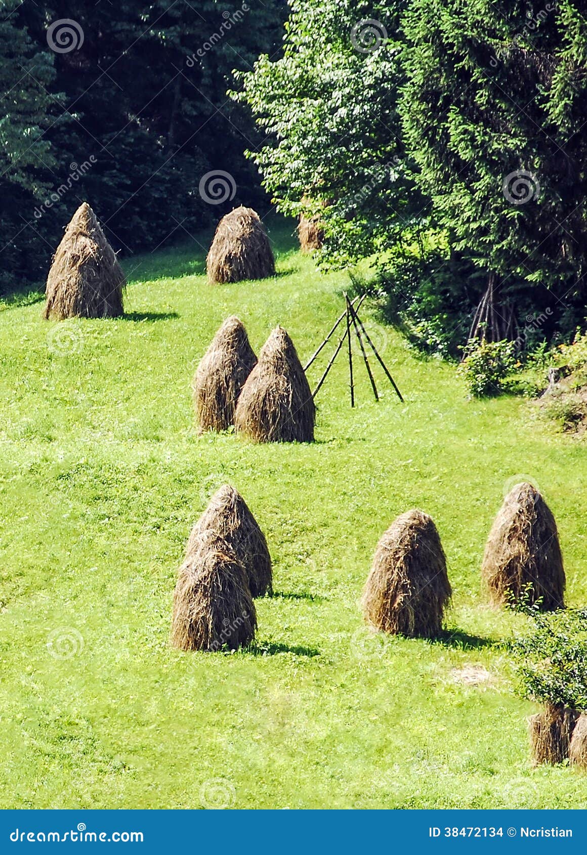 Haystacks on green field stock photo. Image of country - 38472134