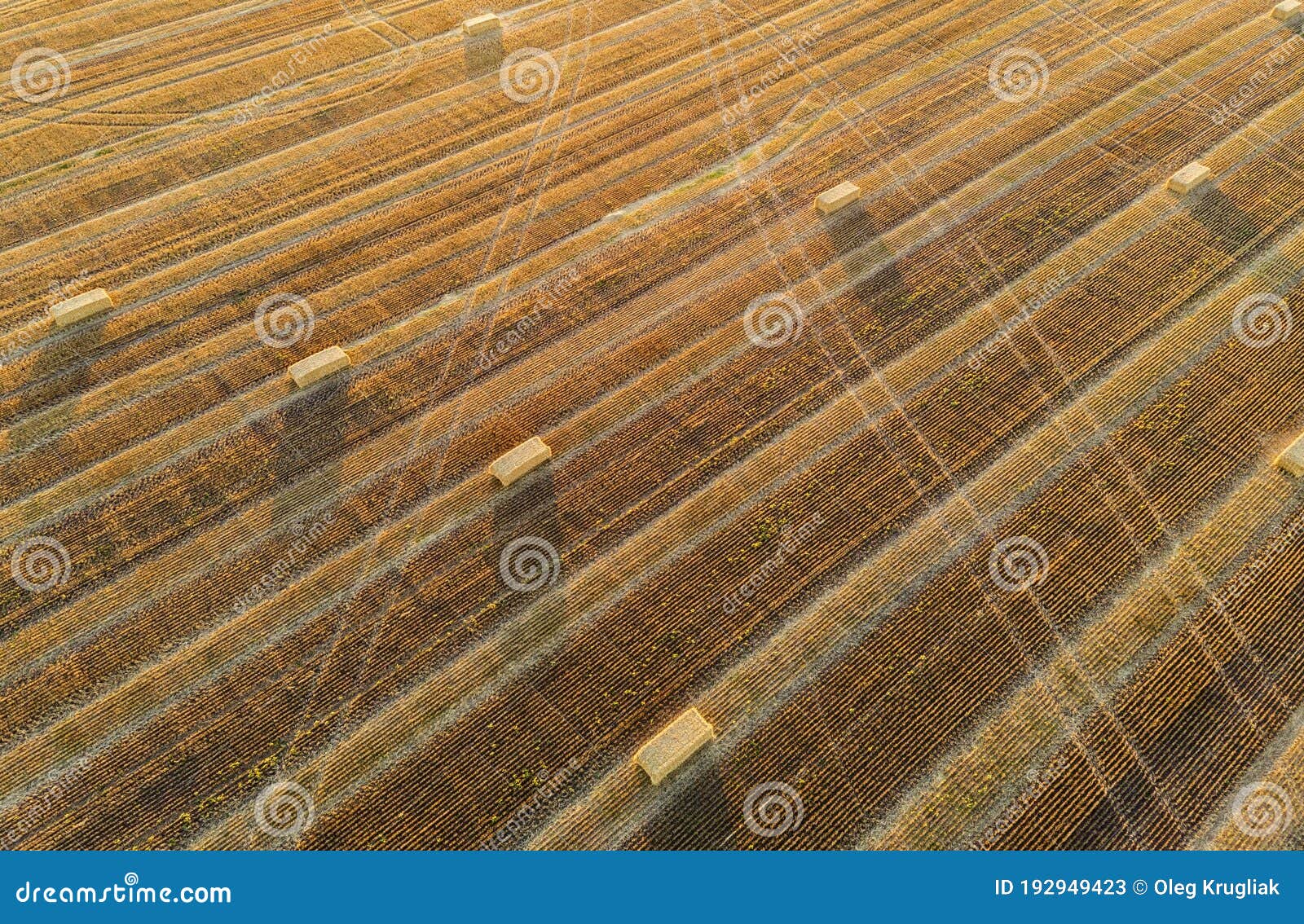 Haystacks on a Harvested Field - Top View Stock Image - Image of drone ...