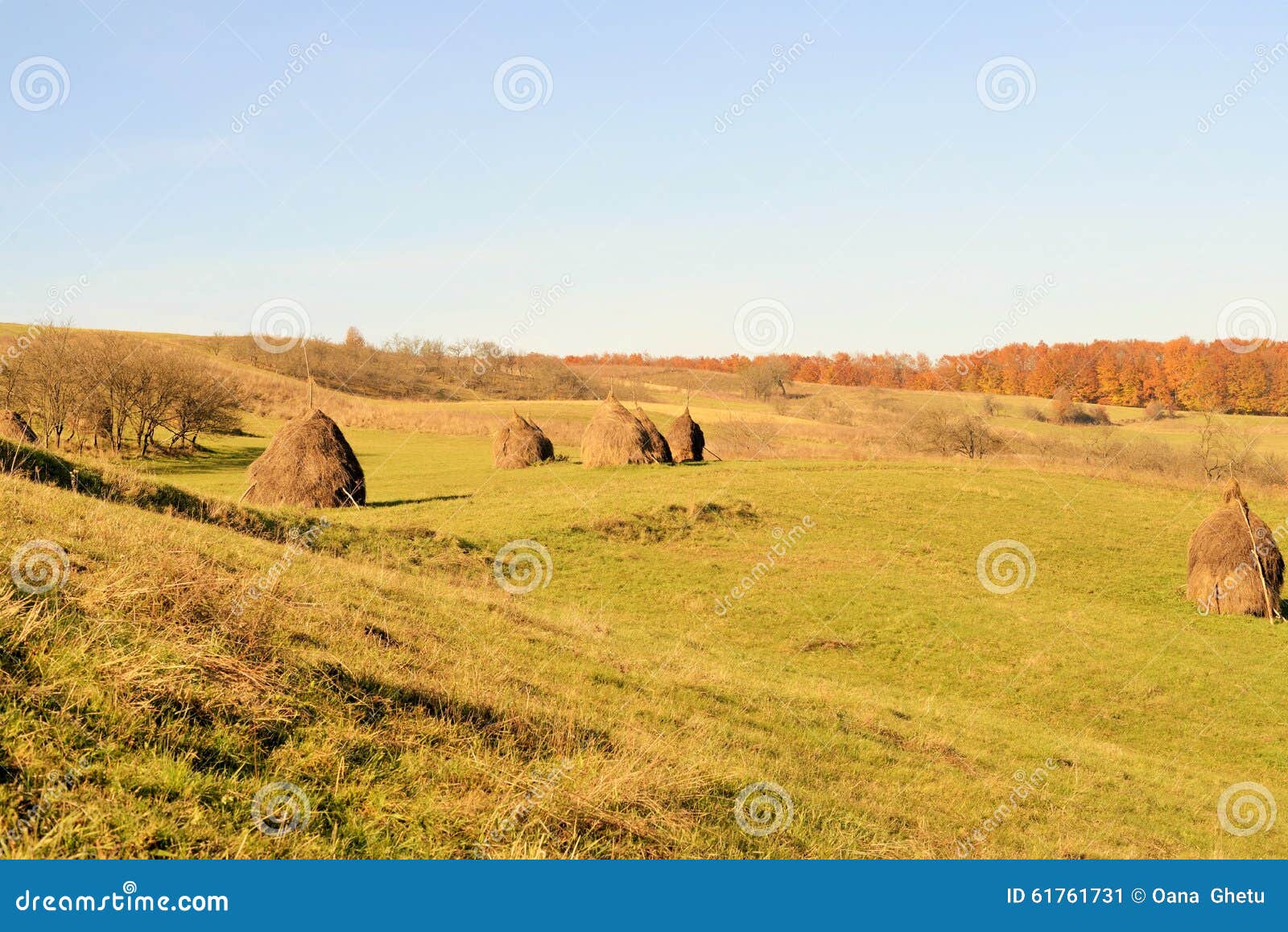 Haystacks stock image. Image of gold, hill, agriculture - 61761731