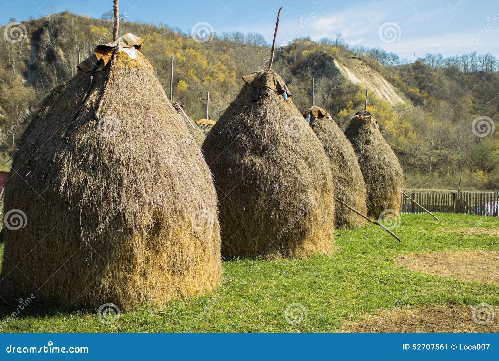 Haystacks on the meadow stock image. Image of falling - 52707561