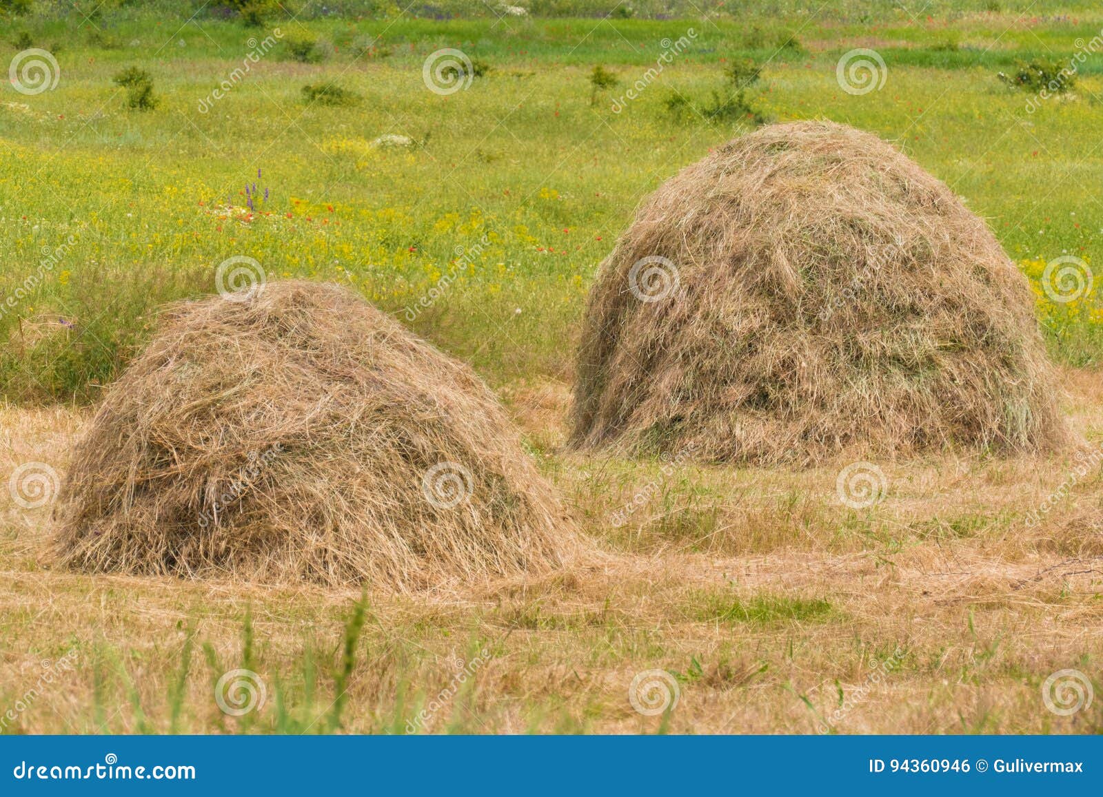 Haystacks stock photo. Image of people, haying, rick - 94360946